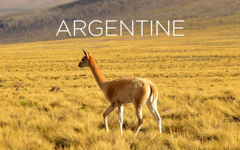 Votre voyage en Argentine commence ici - Havas Voyages